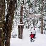 Medicine Trail Snowshoe Tour - What to Wear and Bring