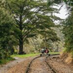Mendocino County: Pudding Creek Railbikes - Detailed Breakdown of the Experience