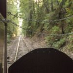 Mendocino County: Skunk Train Wolf Tree Turn Train Ride - Authenticity and Practical Tips