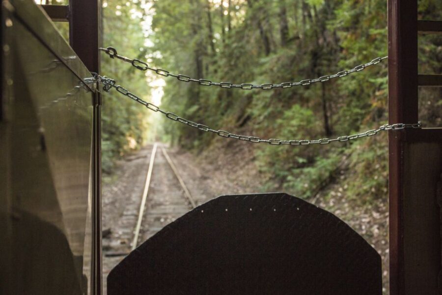 Mendocino County: Skunk Train Wolf Tree Turn Train Ride - Authenticity and Practical Tips