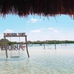 Mérida: Beach tour and restaurant with ocean view with a local guide - Authentic Experiences and Real Traveler Insights