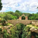Mérida: Hacienda & Cenote Mucuyche Guided Tour - Swimming in Cenotes: Carlota and Azul Maya