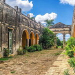 Merida: Yucatan Cenotes and Hacienda Full-Day Trip with Food - The Experience: What Travelers Are Saying