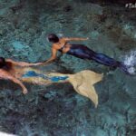 Mermaid for a Day Adventure - The Transformation Process: From Land to Sea