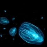 Merritt Island: Bioluminescent Paddle Raft Tour - Who Would Love This Tour?