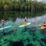Merritts Mill Pond Eco Adventure - Authentic Insights from Reviews