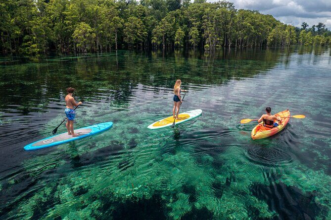 Merritts Mill Pond Eco Adventure - Authentic Insights from Reviews