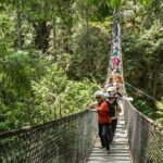 Mesmerizing Nature Walk in Lynn Canyon Park - Value & Cost Analysis