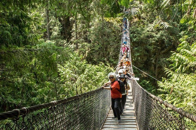 Mesmerizing Nature Walk in Lynn Canyon Park - Value & Cost Analysis