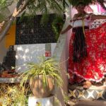 Mexican Cooking Classes and Market Visit in Guadalajara - Who Will Love This Tour?