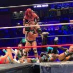 Mexican Wrestling: Experience Lucha Libre in Mexico City - Final Thoughts