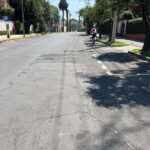Mexico City: Bike, Cannabis, Nature, Food, Culture and History. - Why This Tour is Worth Considering