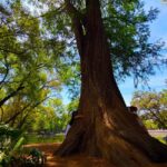 Mexico City: Chapultepec Castle and Forest Guided Tour - FAQ