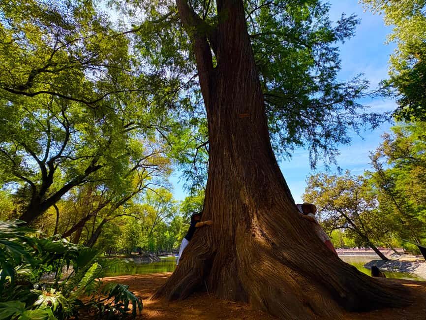 Mexico City: Chapultepec Castle and Forest Guided Tour - FAQ