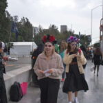 Mexico City: Day of the Dead Guided Tour - Evaluating the Value