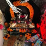Mexico City: Day of the Dead House and craft workshop - The Itinerary in Detail