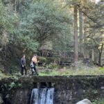 Mexico City: Desierto de los Leones Hike & Ex-Convent Tour - Analyzing the Value and Practicalities