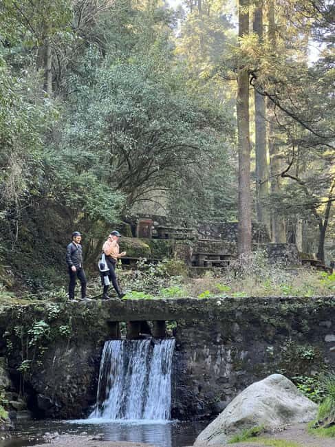 Mexico City: Desierto de los Leones Hike & Ex-Convent Tour - Analyzing the Value and Practicalities