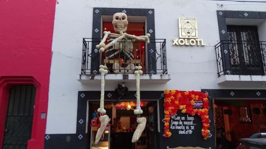 Mexico City: Dia de Muertos Tour to Atlixco - What We Think About the Price and Value