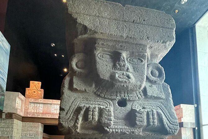 Mexico City Express - What Travelers Say and What to Expect