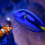 Mexico City: Fast Pass Ticket to Acuarium Inbursa - What to Expect: The Aquarium Experience