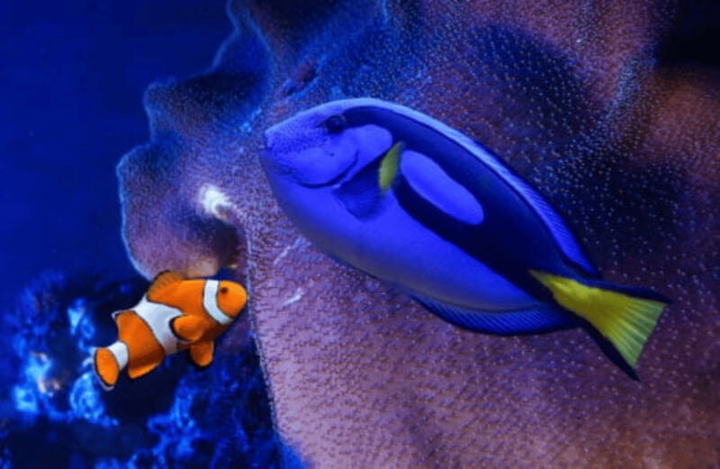 Mexico City: Fast Pass Ticket to Acuarium Inbursa - What to Expect: The Aquarium Experience