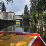Mexico City: Frida Kahlo, Coyoacán, and Xochimilco Day Tour - Detailed Breakdown of Key Stops