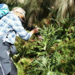 Mexico City: Guided Volcano Trek with Lunch - An Authentic Day in the Wilderness