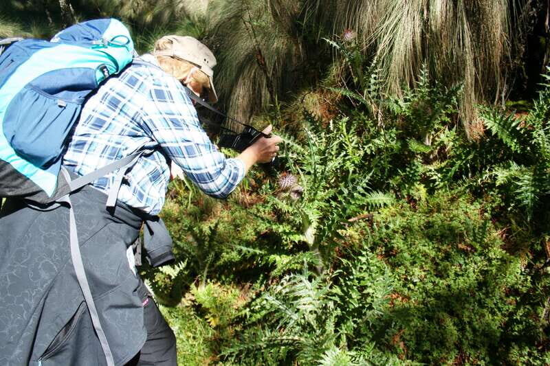 Mexico City: Guided Volcano Trek with Lunch - An Authentic Day in the Wilderness