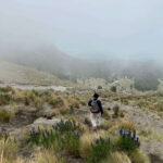 Mexico City: Hiking to la Malinche private day tour - The Itinerary: What to Expect on the Day