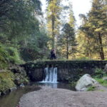 Mexico city: Hiking tour to Desierto de los leones - In-Depth Look at the Itinerary