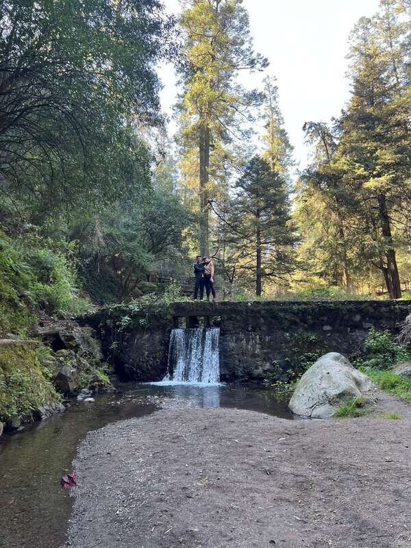 Mexico city: Hiking tour to Desierto de los leones - In-Depth Look at the Itinerary