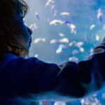 Mexico City: Inbursa Aquarium optional Round trip transfer - The Highlights: Why This Tour Can Be Memorable