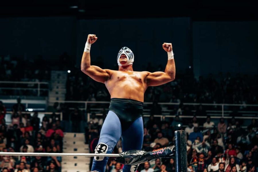 Mexico City: Lucha Libre, Mezcal, Tequila, and Live Show Tour - In-Depth Breakdown of Each Segment
