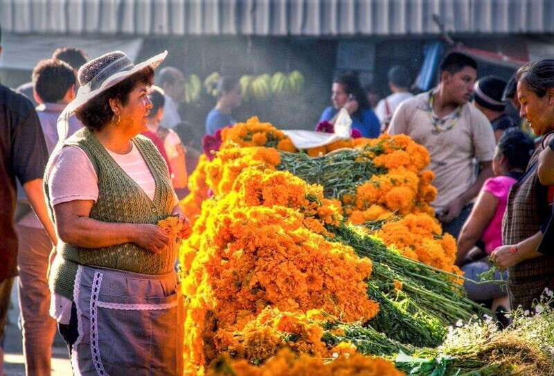 Mexico City Market Tour: Traditional Food and Murals - Who Will Love This Tour?
