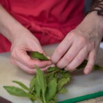 Mexico City: Mexican Cooking Class - What You Can Expect from the Experience