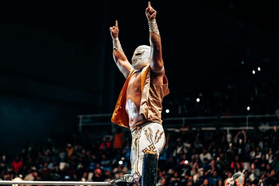 Mexico City: Mexican evening, lucha libre, and tequila - An Authentic Night in Mexico City: What to Expect