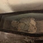 Mexico City: Museum of El Carmen Tour with Ticket - The Itinerary Breakdown