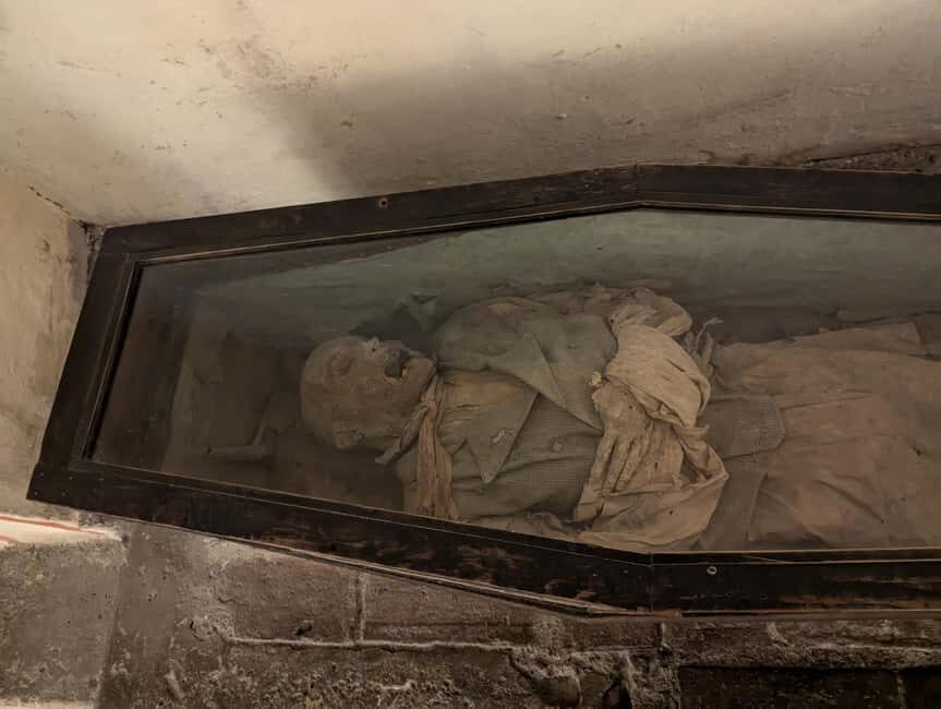 Mexico City: Museum of El Carmen Tour with Ticket - The Itinerary Breakdown