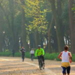Mexico City: Private Chapultepec Park Bike Tour - Who Is This Tour Best For?