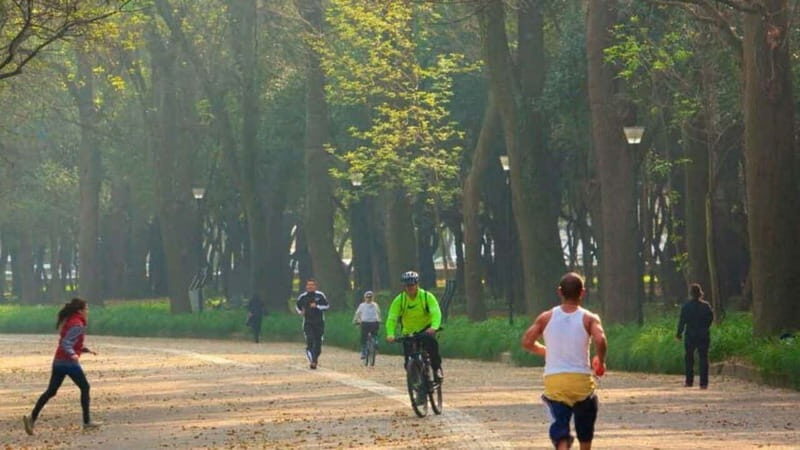 Mexico City: Private Chapultepec Park Bike Tour - Who Is This Tour Best For?