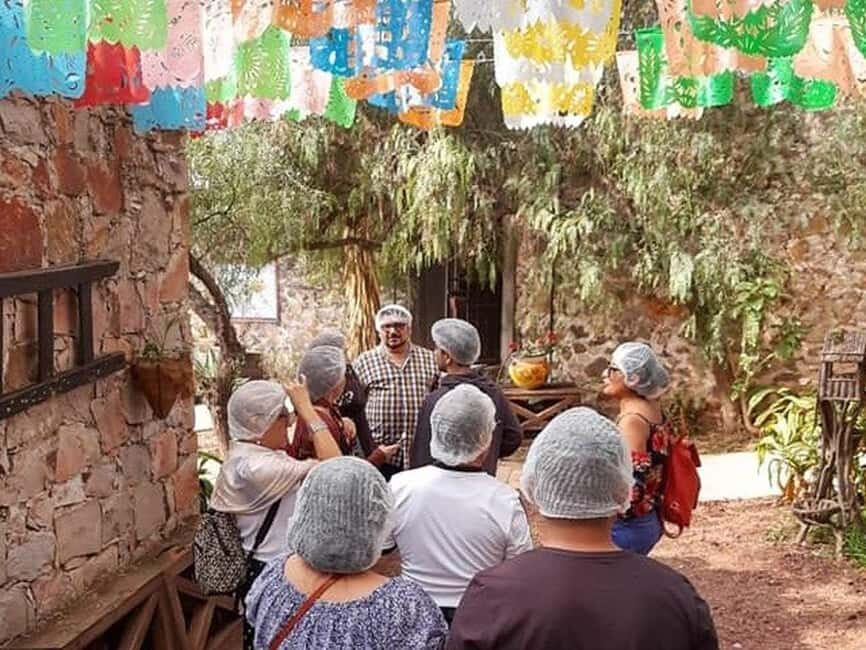 Mexico City: Private Cheese and Wine Tour to Queretaro - Who Is This Tour Best For?