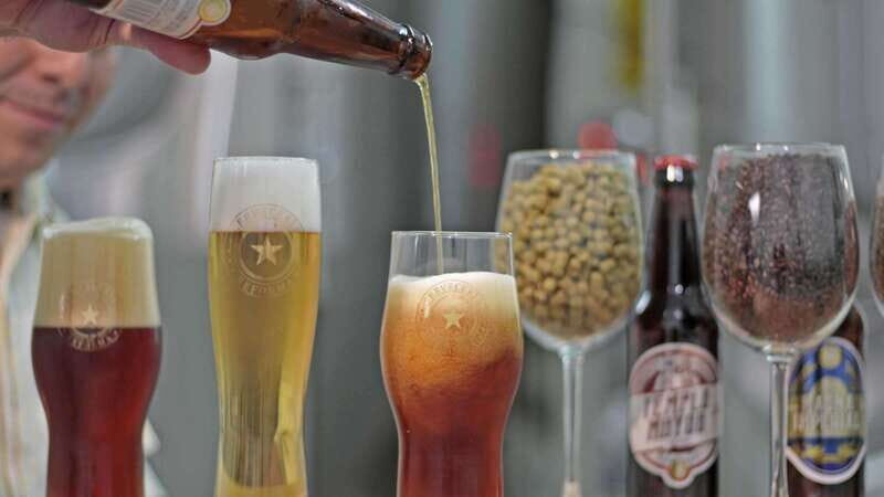 Mexico City Tasting Tour and Craft Beer Experience - Who Should Consider This Tour?