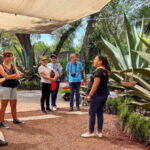 Mexico City: Teotihuacan, Tlatelolco & Basilica of Guadalupe - A Full Breakdown of the Experience