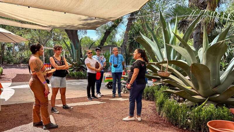 Mexico City: Teotihuacan, Tlatelolco & Basilica of Guadalupe - A Full Breakdown of the Experience
