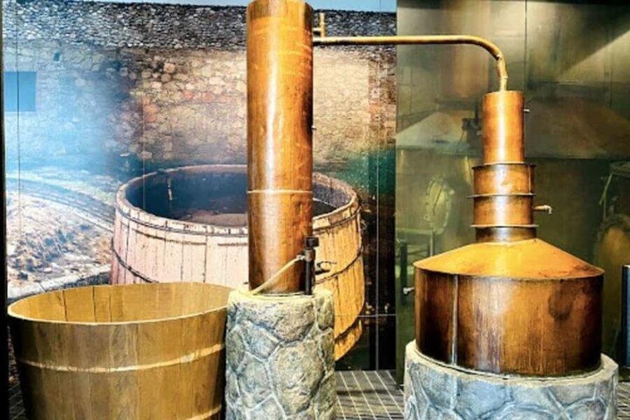 Mexico City: Tequila and Mezcal Museum Ticket with Tastings - The Museum Itself: More Than Just Displays
