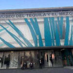 Mexico City: Tequila and Mezcal Museum Tour with Tasting - The Itinerary: What to Expect Step-by-Step