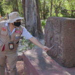 Mexico City: Trip to Teotihuacan Pyramids & Guadalupe Shrine - What to Expect: Practical Considerations