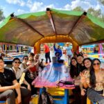Mexico City: Xochimilco All-Included Boat Party Tour - Final Thoughts: Who Will Love This Tour?