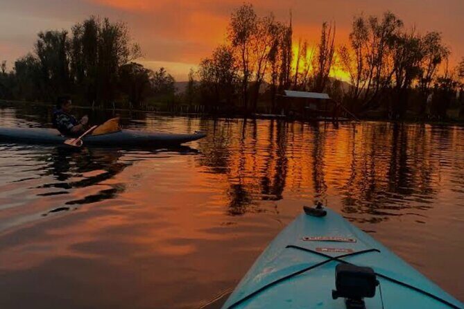 Mexico City: Xochimilco at sunrise + Breakfast and transportation - Engaging with Xochimilco’s Agriculture and Ecology